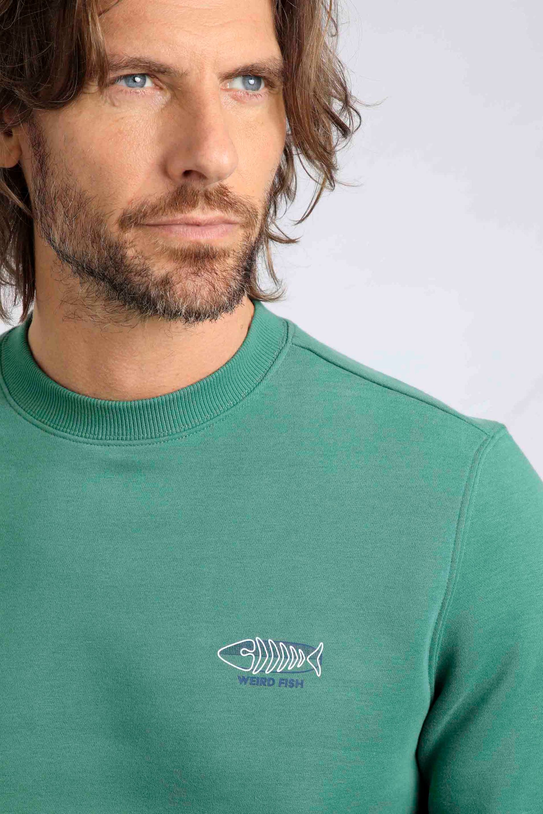 Harter Graphic Crew Neck Sweatshirt Pistachio | Weird Fish