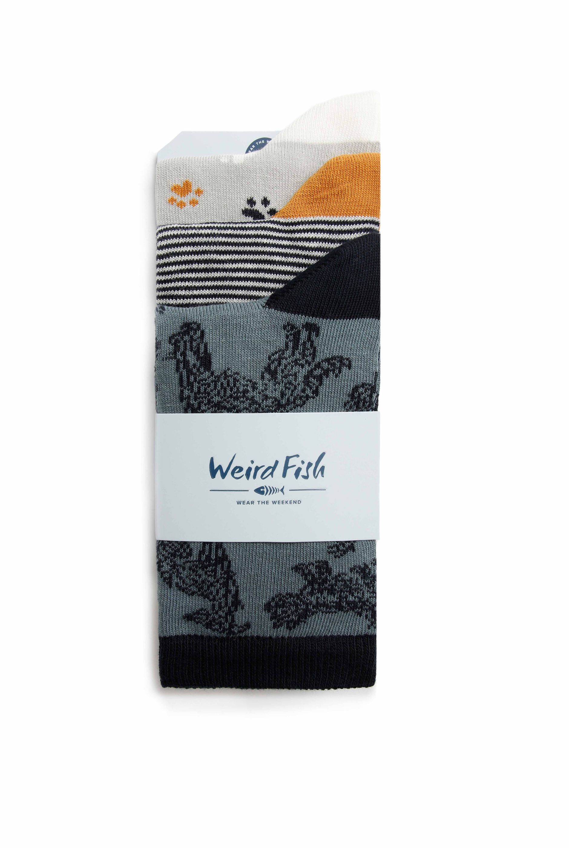Parade Patterned Socks 3 Pack Dusty Blue | Weird Fish