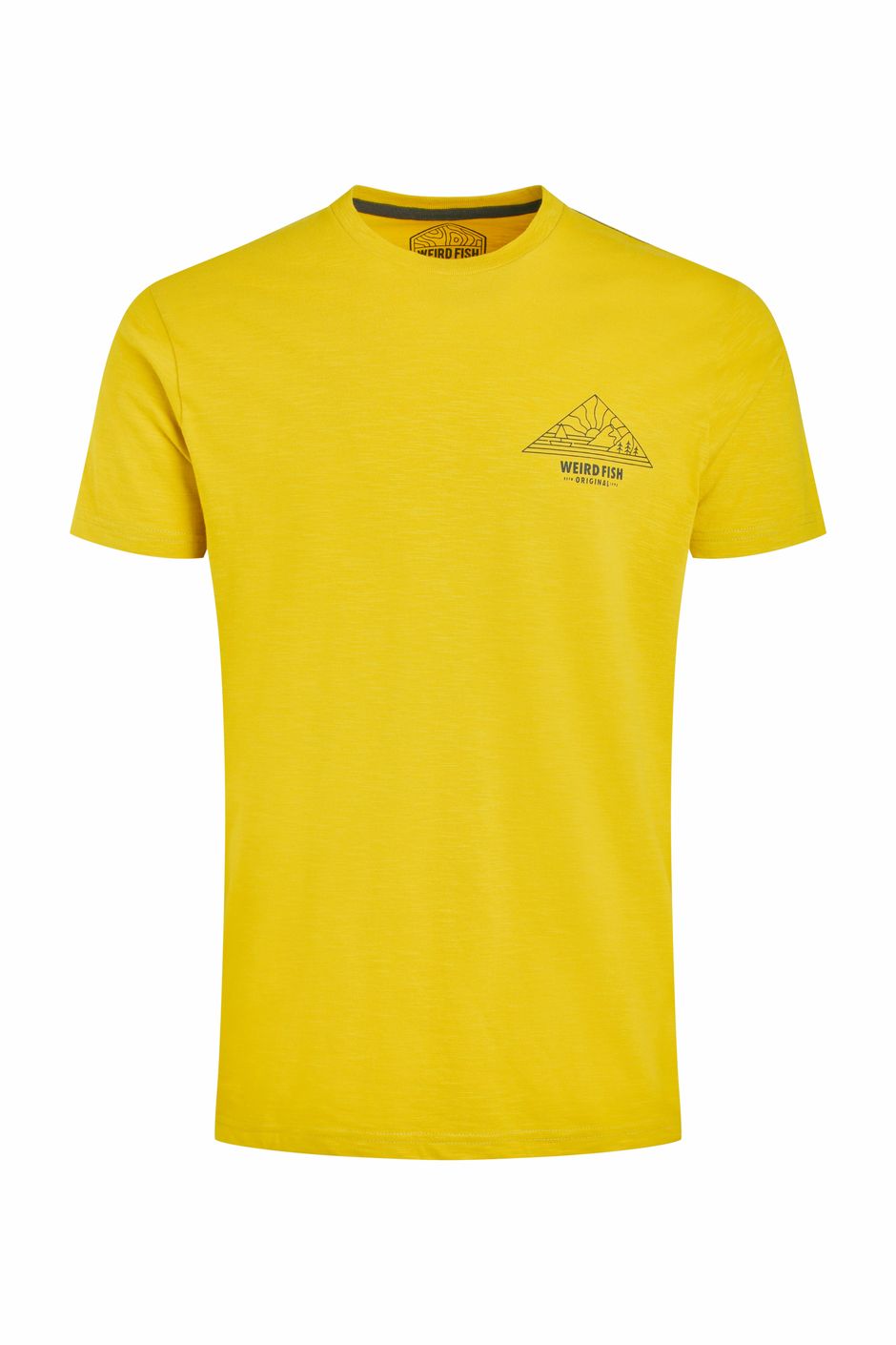 Pyramid View Back Print Graphic T-Shirt Antique Moss | Weird Fish