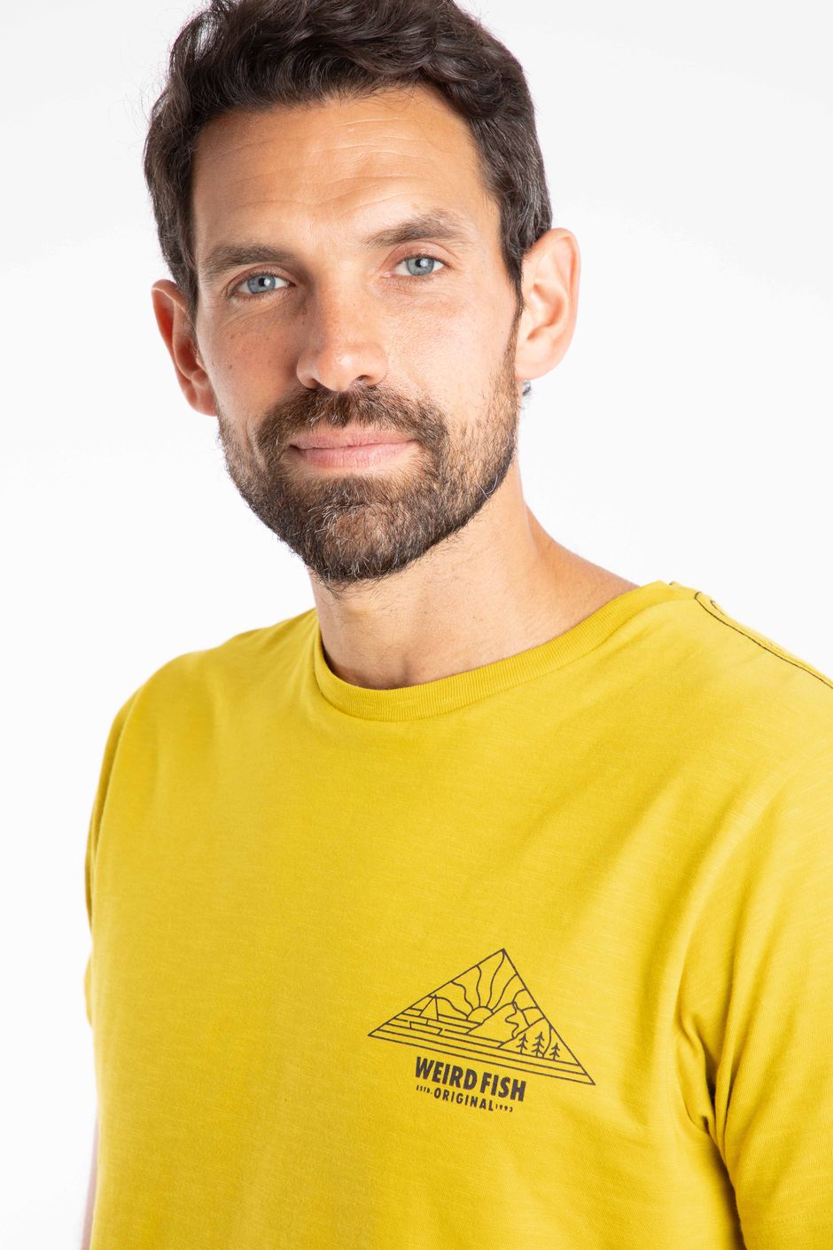 Pyramid View Back Print Graphic T-Shirt Antique Moss | Weird Fish