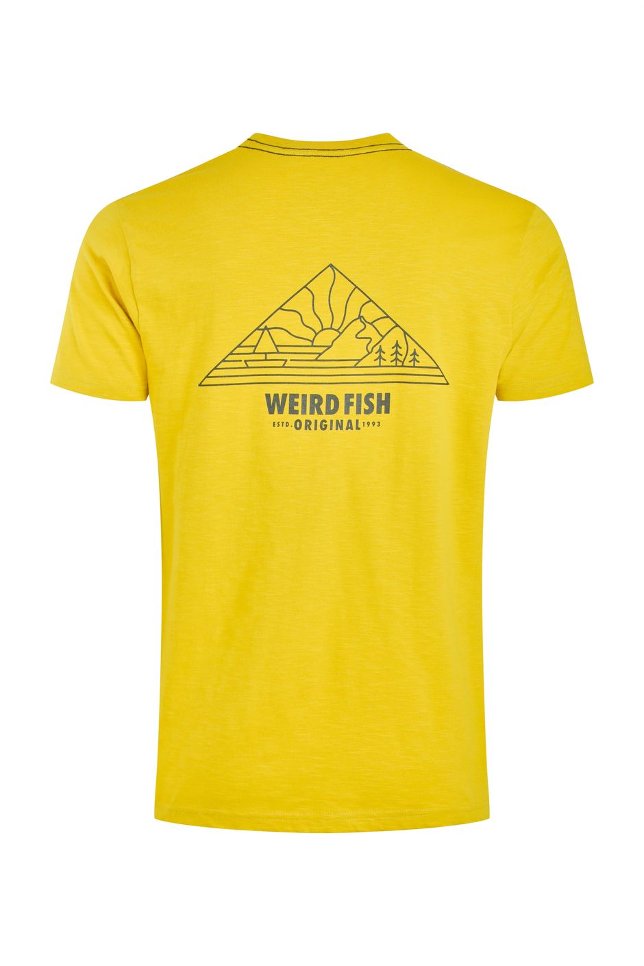 Pyramid View Back Print Graphic T-Shirt Antique Moss | Weird Fish
